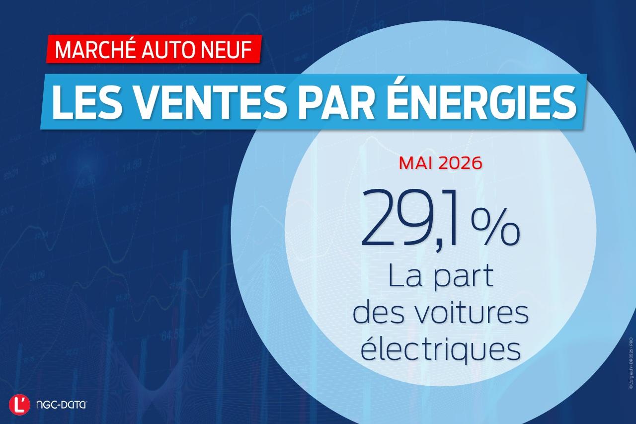 Marché auto par énergies. La Renault R5 s'incline devant le Tesla Model ...